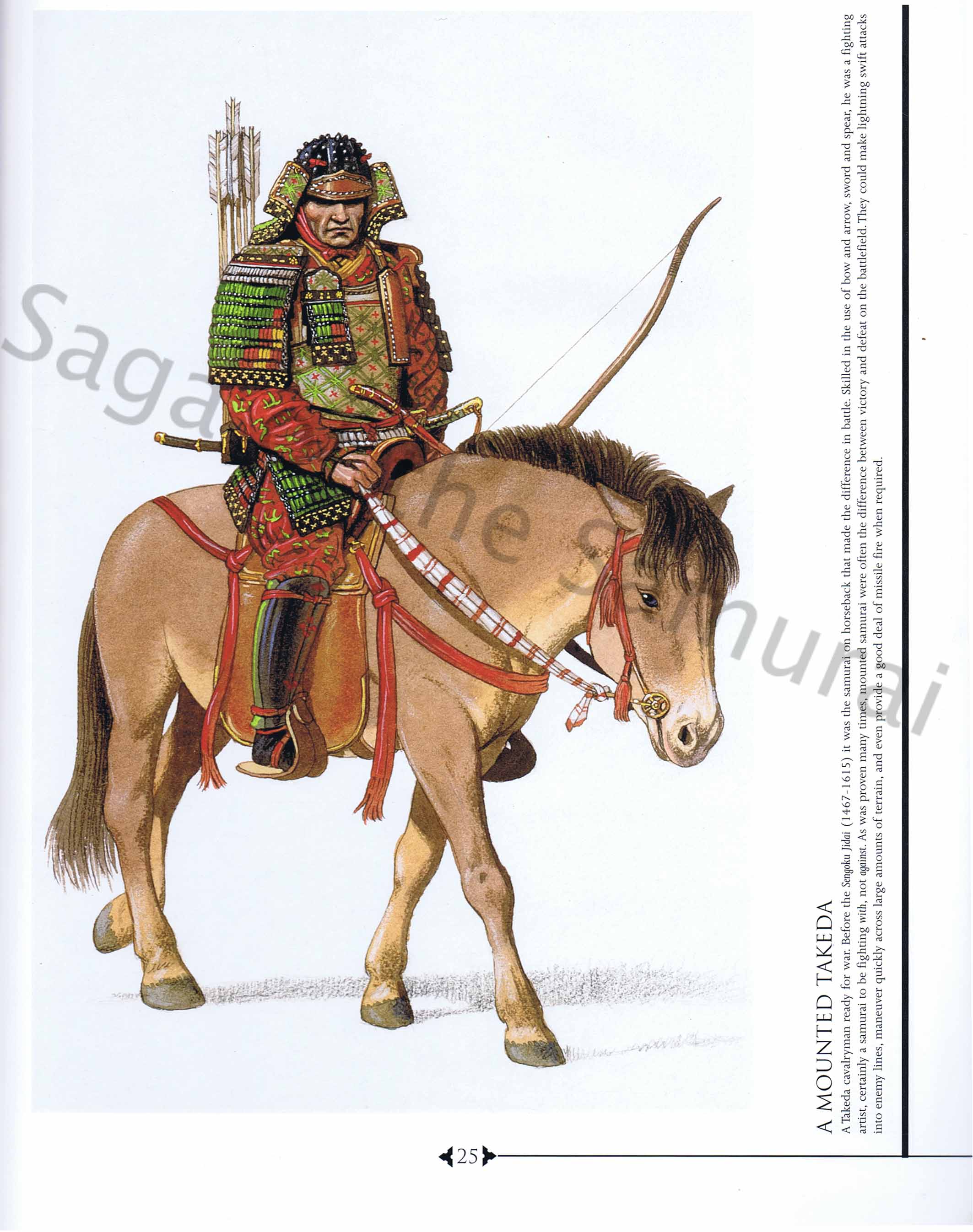 Inside the 5 books - Saga of the Samurai Frontpage